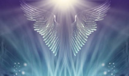 Tienda Online :: Nellagea Terapias Complementarias